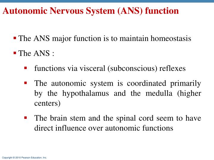 PPT - Motor (efferent) system PowerPoint Presentation - ID:6260599