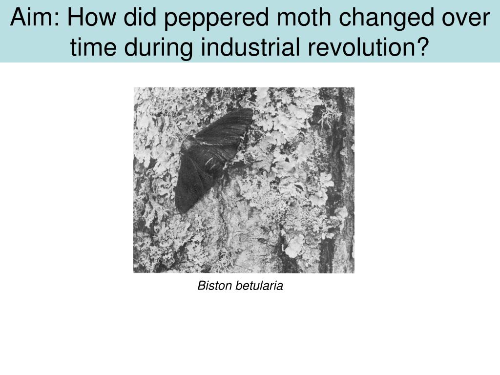 PPT - Industrial Revolution PowerPoint Presentation, free download - ID ...