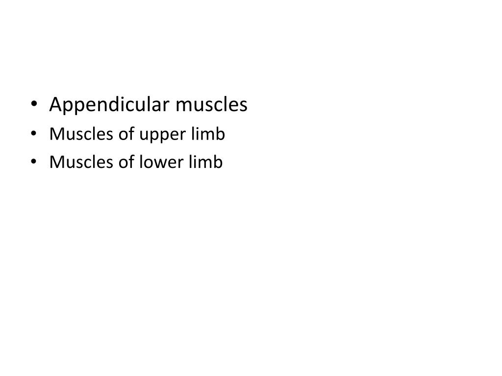 PPT - Axial muscles: Head and Neck Trunk: Chest wall Abdominal wall ...