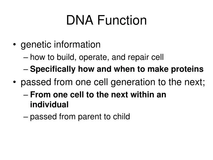 PPT - DNA Function PowerPoint Presentation, free download - ID:6262515