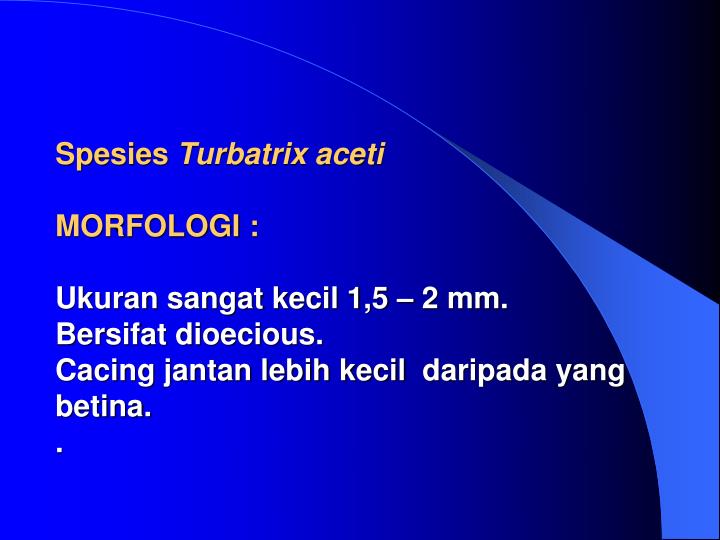 PPT - Turbatrix aceti PowerPoint Presentation - ID:6263257