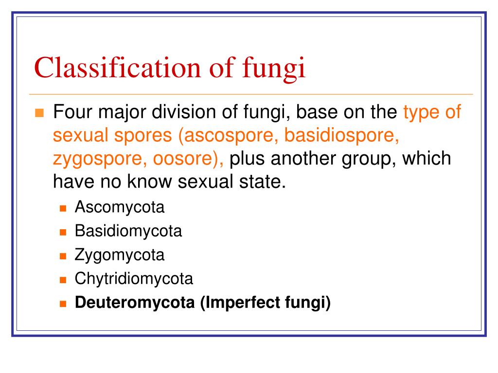 Ppt Taxonomy Biology And Physiology Of Fungi Powerpoint Presentation