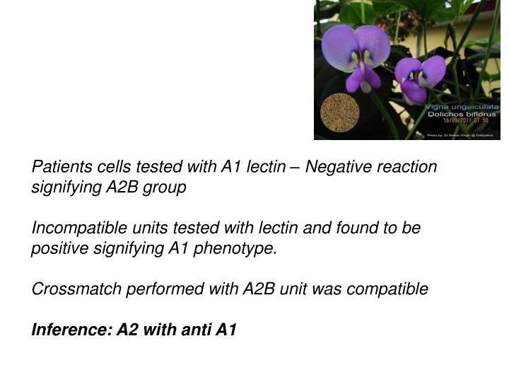 PPT - Grouping and compatibility issues and their resolution PowerPoint ...