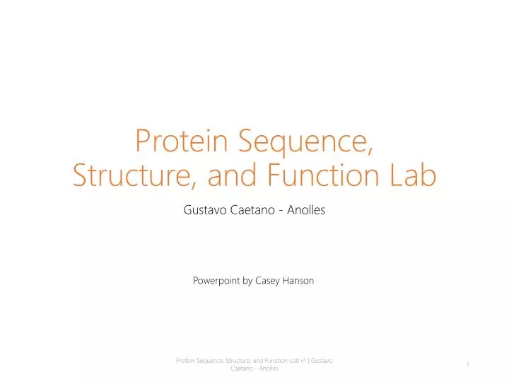 PPT - Protein Sequence, Structure, and Functio n Lab PowerPoint ...