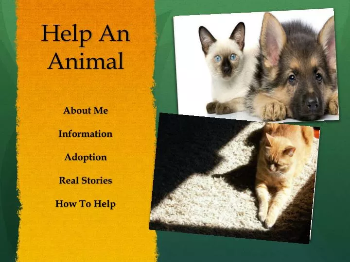 PPT - Help An Animal PowerPoint Presentation, free download - ID:6269804
