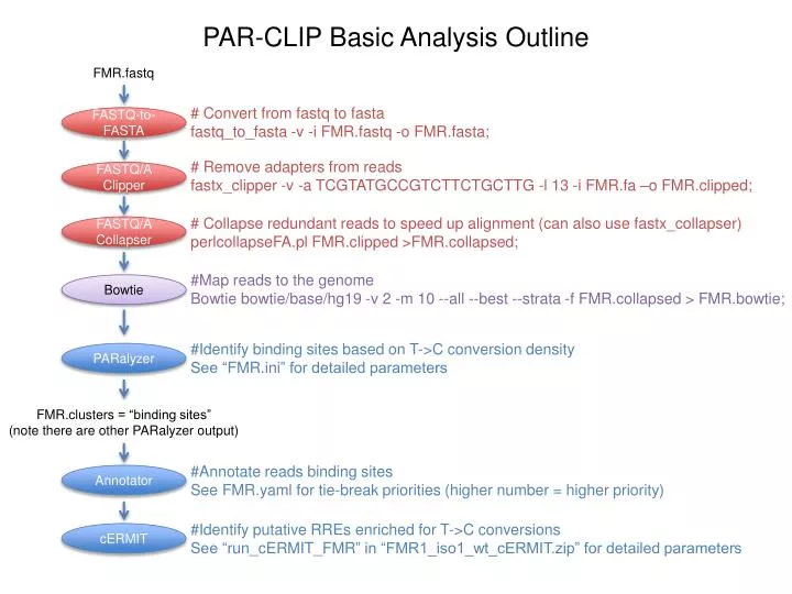 PPT - PAR-CLIP Basic Analysis Outline PowerPoint Presentation, free ...