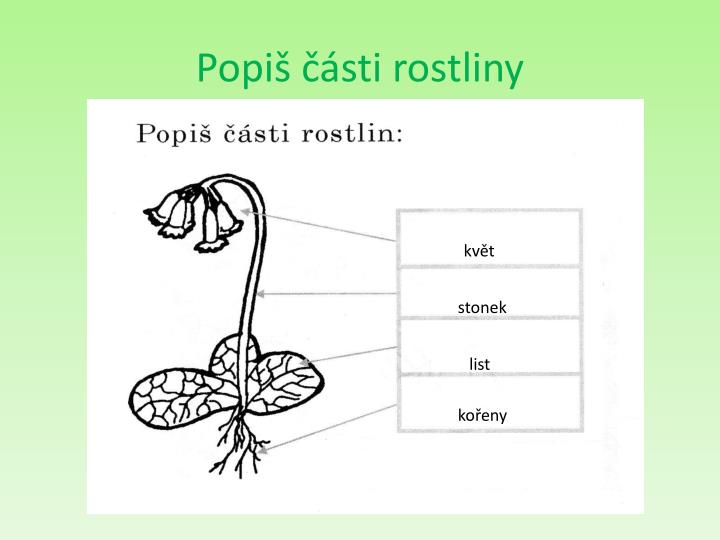 PPT - Anotace PowerPoint Presentation - ID:6272787