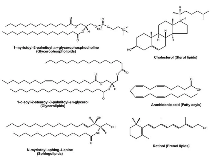PPT - Methyl Linolenate PowerPoint Presentation, free download - ID:6277977