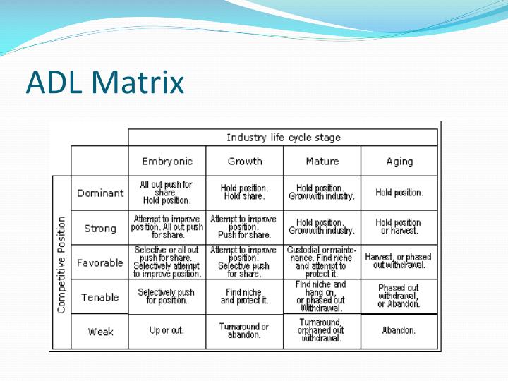 PPT - Product Portfolio Models PowerPoint Presentation - ID:6279071