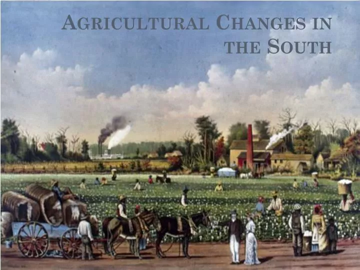 PPT - Agricultural Changes in the South PowerPoint Presentation, free ...