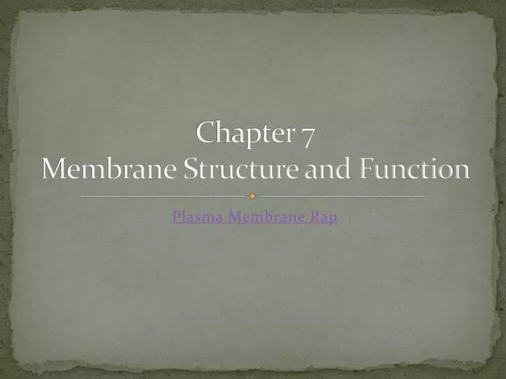 PPT - Chapter 7 Membrane Structure and Function PowerPoint Presentation - ID:6283714