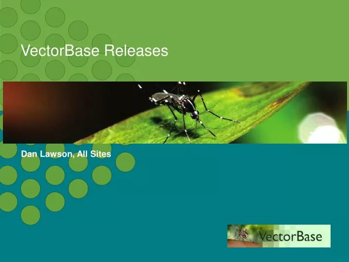 PPT - VectorBase Releases PowerPoint Presentation, free download - ID:6286387