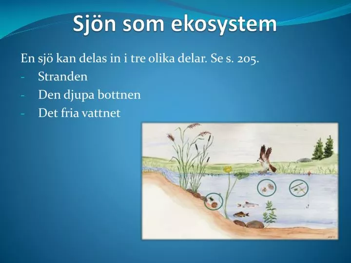 PPT - Sjön som ekosystem PowerPoint Presentation, free download - ID ...