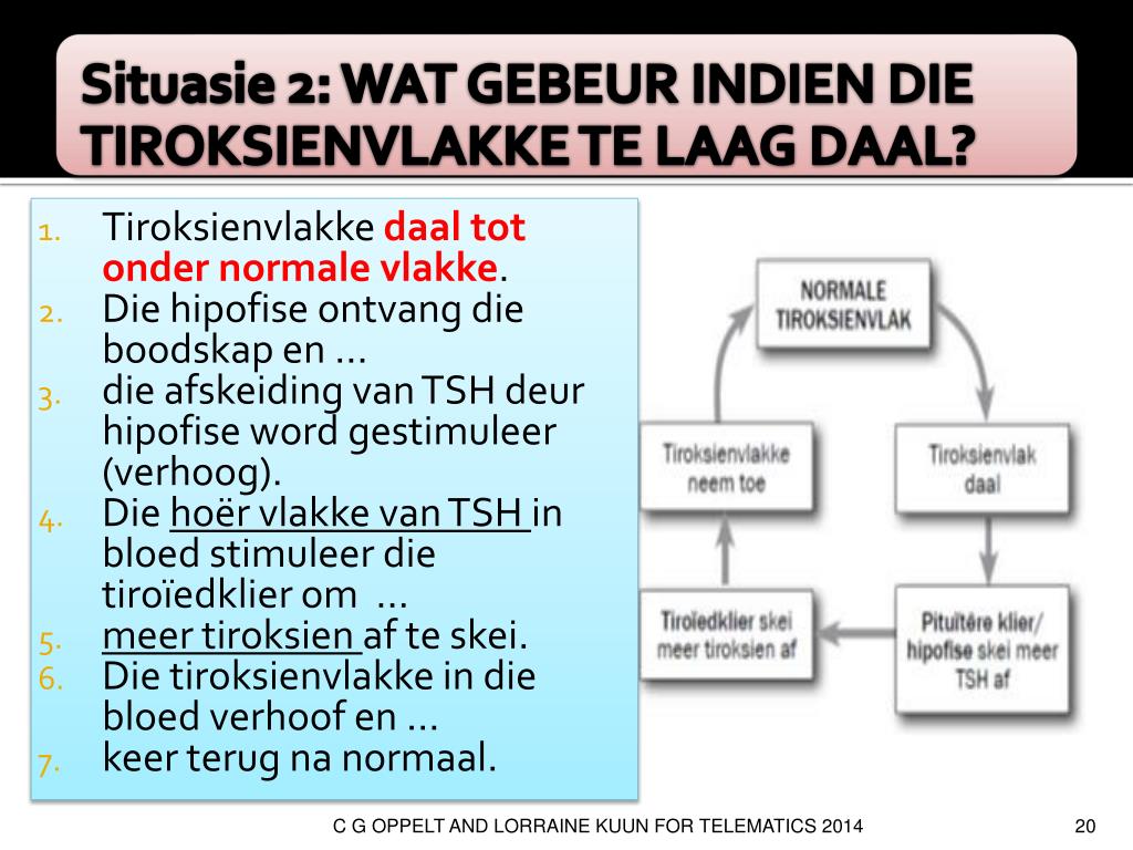 PPT - TELEMATIESE AANBIEDING DONDERDAG , 29 MEI 2014 PowerPoint ...