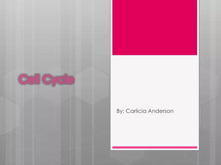 PPT - Cell Cycle PowerPoint Presentation, free download - ID:6288565