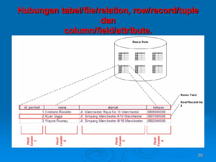 PPT - MENGIDENTIFIKASI STRUKTUR HIRARKI BASIS DATA PowerPoint ...