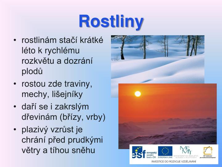 PPT - POLÁRNÍ PÁS PowerPoint Presentation - ID:6292234