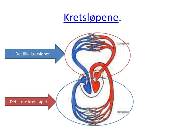 PPT - BLODET PowerPoint Presentation - ID:6292667