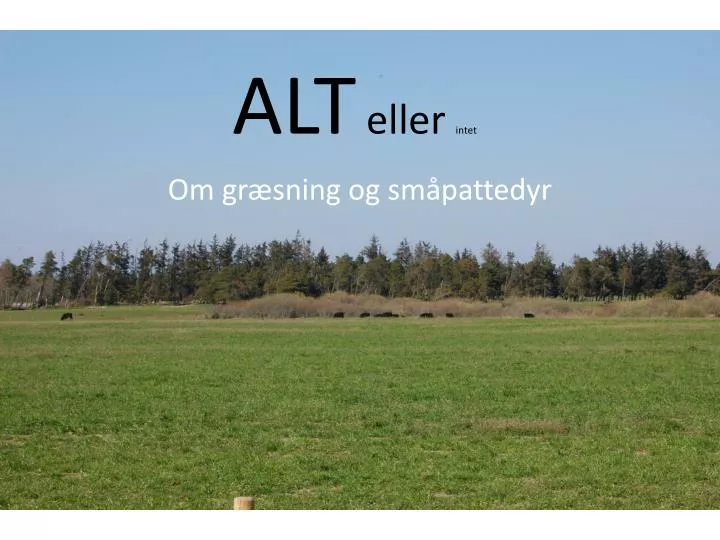 PPT - ALT eller intet PowerPoint Presentation, free download - ID:6294539