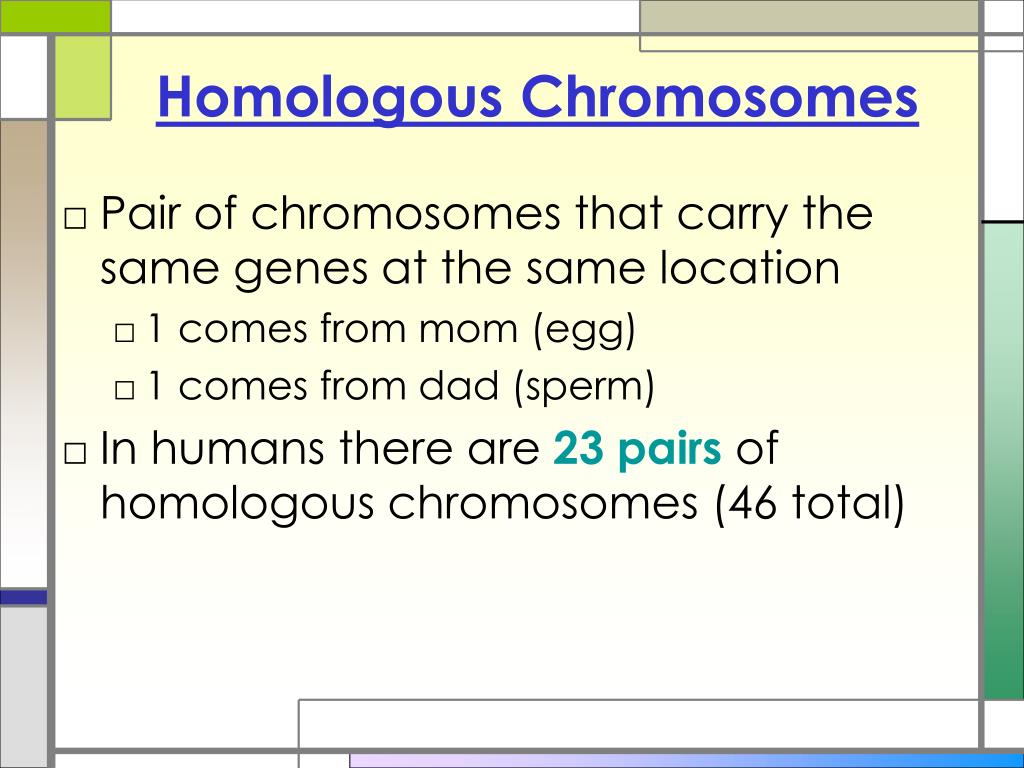 Ppt Sex Cells And Meiosis Powerpoint Presentation Free Download Id