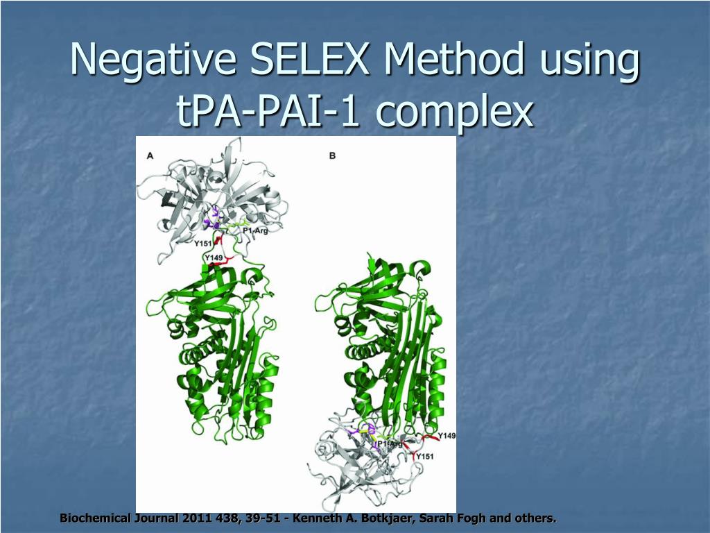 PPT - Characterization of antithrombin -specific RNA aptamers for use ...