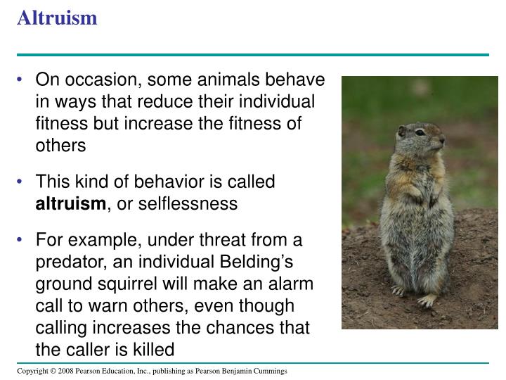 PPT - Chapter 51: Animal Behavior PowerPoint Presentation - ID:6298958