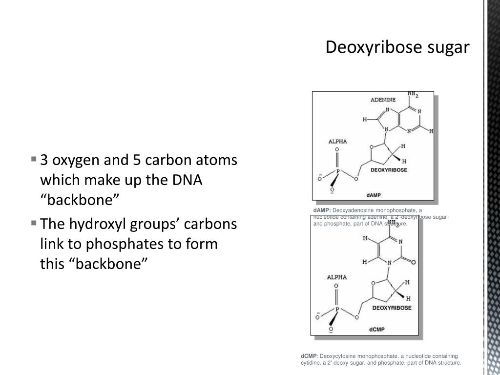 PPT - DNA & Gel Electrophoresis PowerPoint Presentation, free download ...