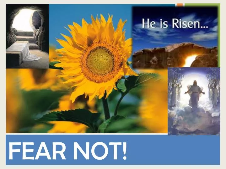 PPT - FEAR NOT! PowerPoint Presentation, free download - ID:6301795