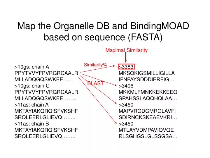PPT - Map the Organelle DB and BindingMOAD based on sequence (FASTA) PowerPoint Presentation ...