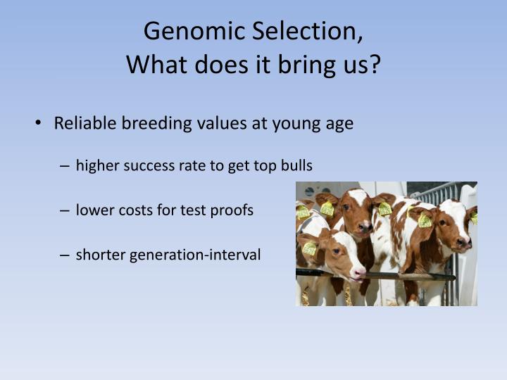 PPT - Genomic Selection in Dairy Cattle PowerPoint Presentation - ID ... PPT - Genomic Selection in Dairy Cattle PowerPoint Presentation - ID ...