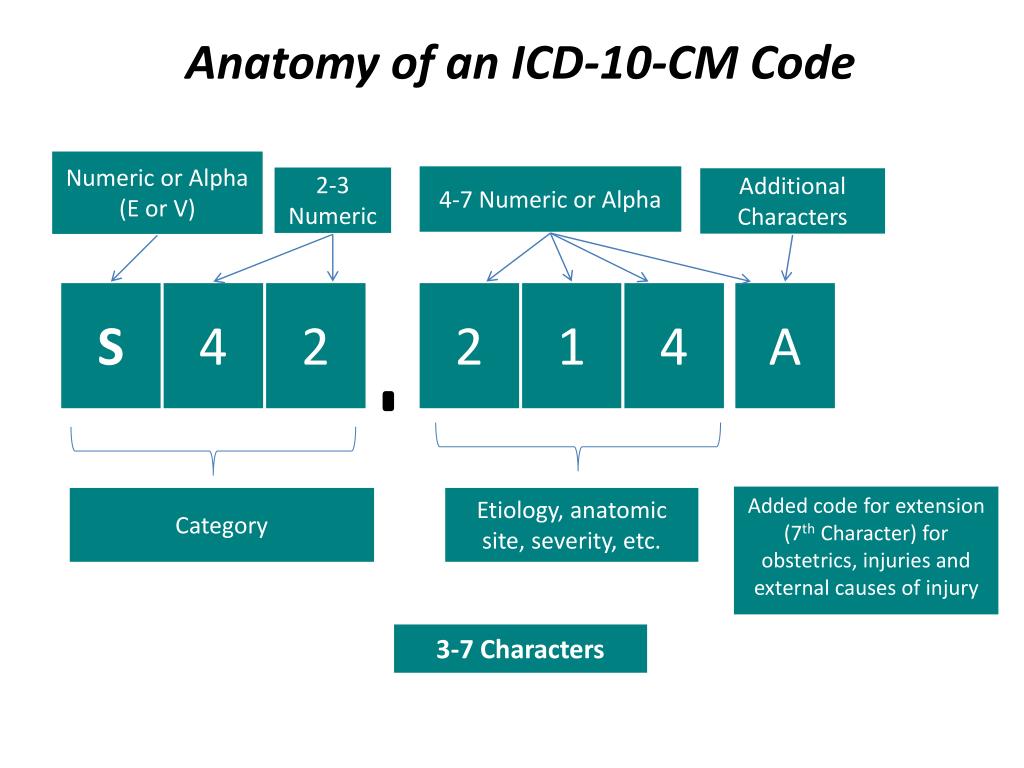 PPT Anatomy Of An ICD 10 CM Code PowerPoint Presentation Free