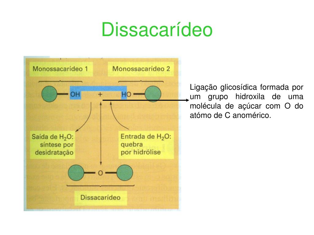 PPT - TECNOLOGIA DE ALIMENTOS PowerPoint Presentation, free download ...