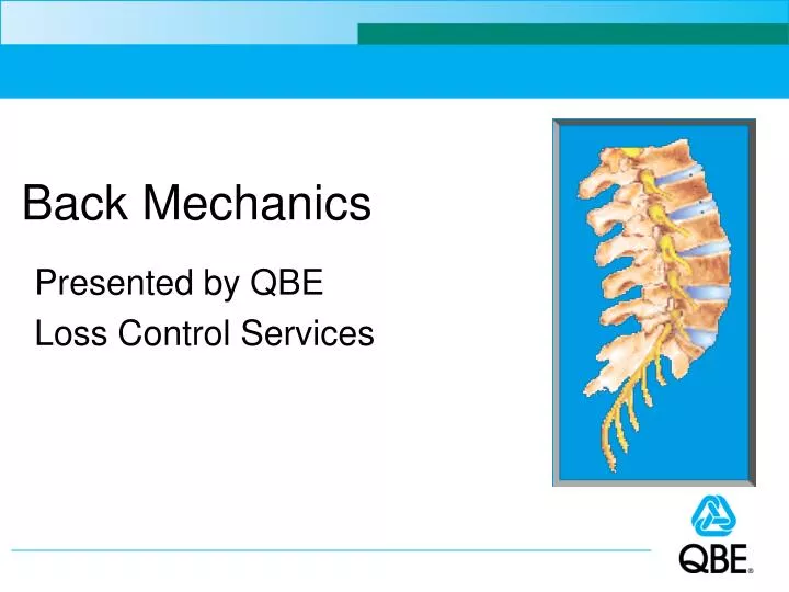 PPT - Back Mechanics PowerPoint Presentation, free download - ID:6304030
