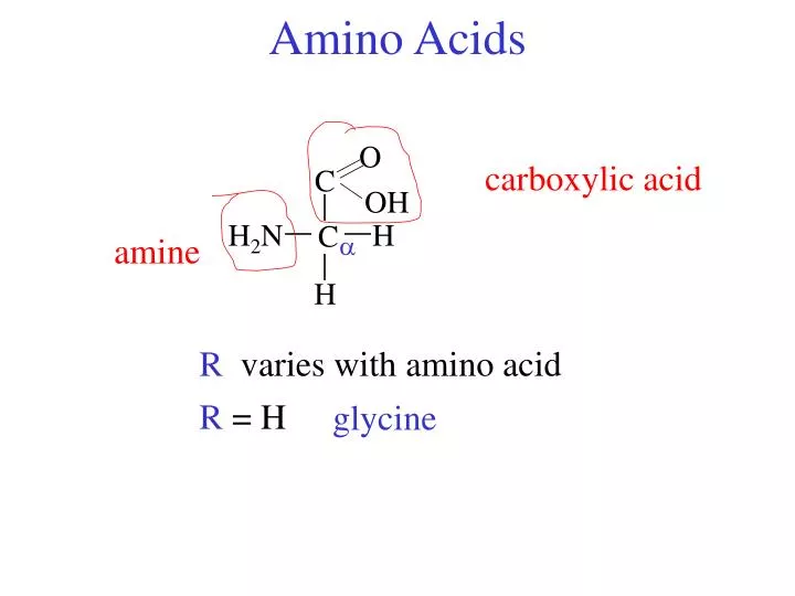 PPT - Amino Acids PowerPoint Presentation, free download - ID:6304869