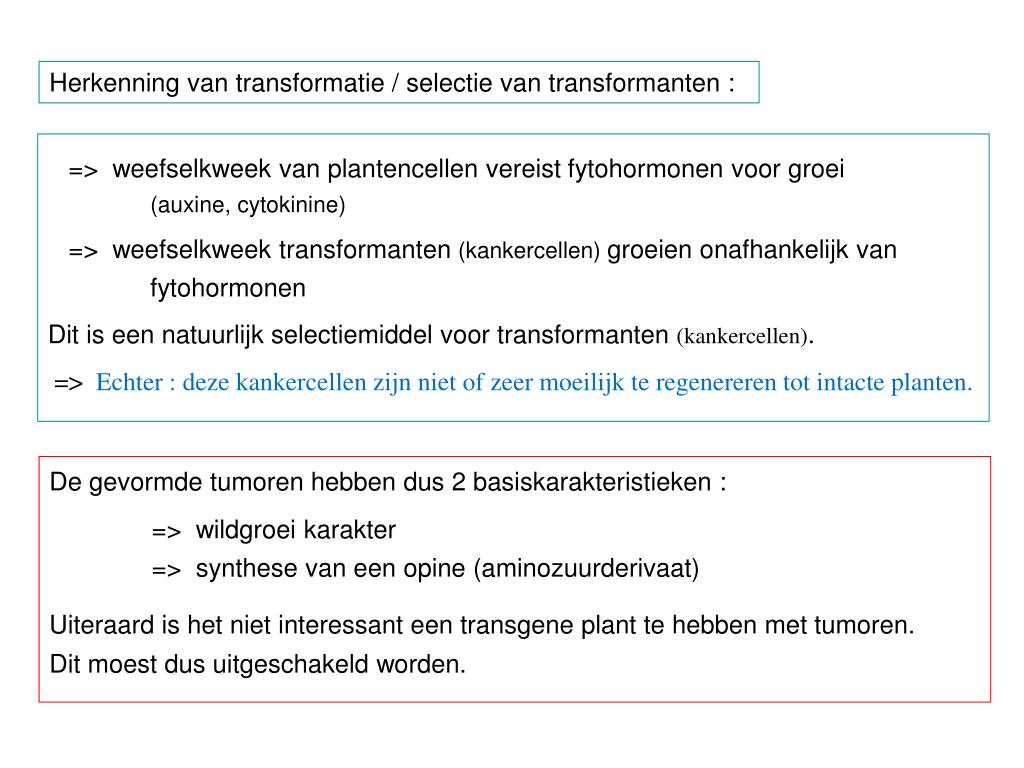 PPT - Moleculaire klonering in planten Vectoren : planten Primros e ...