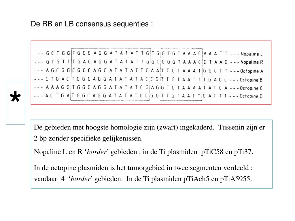 PPT - Moleculaire klonering in planten Vectoren : planten Primros e ...