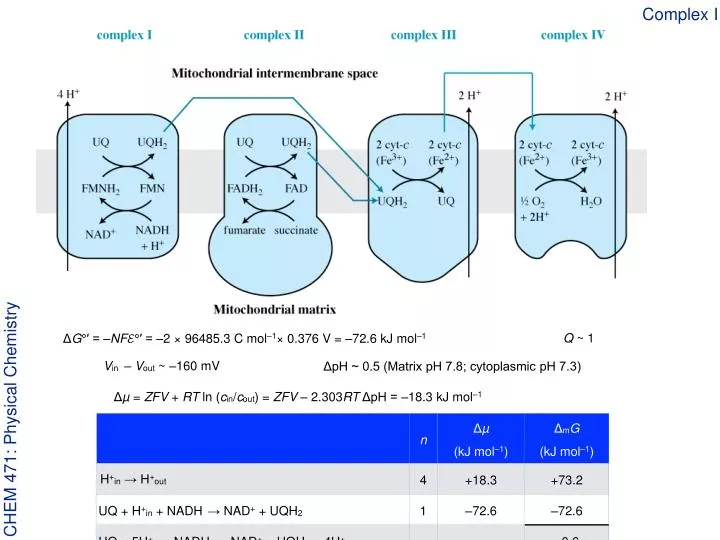 PPT - Complex I PowerPoint Presentation, free download - ID:6305324