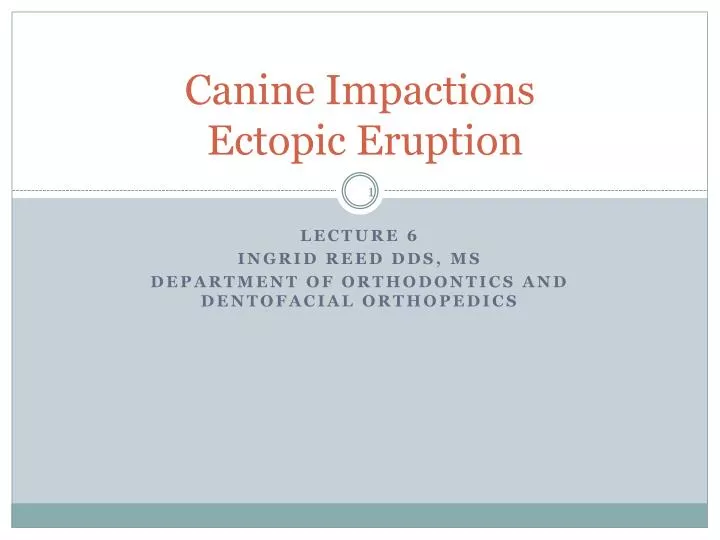 PPT - Canine Impactions Ectopic Eruption PowerPoint Presentation, free ...