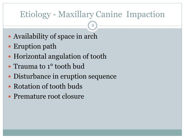 PPT - Canine Impactions Ectopic Eruption PowerPoint Presentation - ID ...