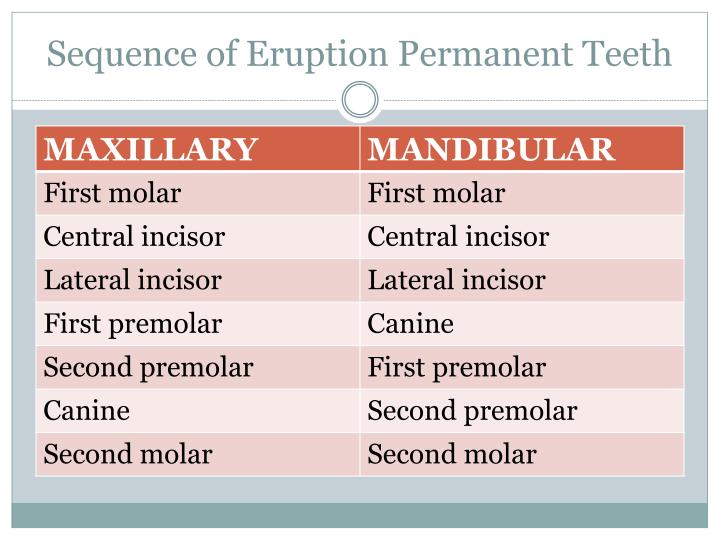 PPT - Canine Impactions Ectopic Eruption PowerPoint Presentation - ID ...