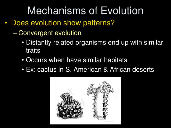 PPT - Unit VI - Evolution PowerPoint Presentation - ID:6305699
