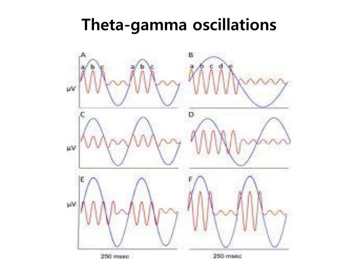 PPT - Slow oscillation, Fast oscillation, and its interactions ...