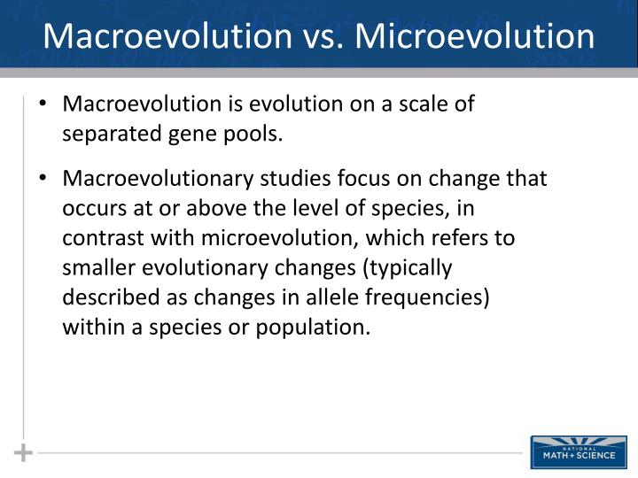 PPT - Macroevolution Part II: Allopatric Speciation PowerPoint ...