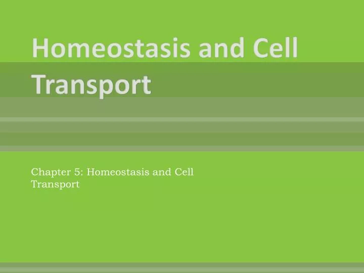 PPT - Homeostasis and Cell Transport PowerPoint Presentation, free ...