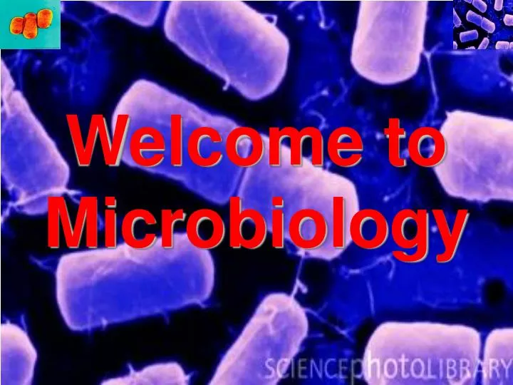 PPT - Welcome to Microbiology PowerPoint Presentation, free download ...