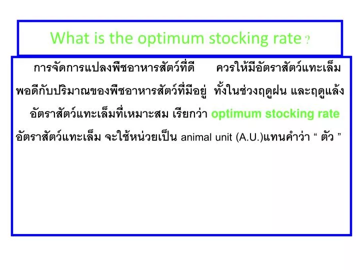 PPT - What is the optimum stocking rate ? PowerPoint Presentation, free ...