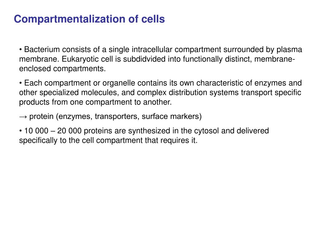 PPT - MB 207 – Molecular Cell Biology PowerPoint Presentation, free ...