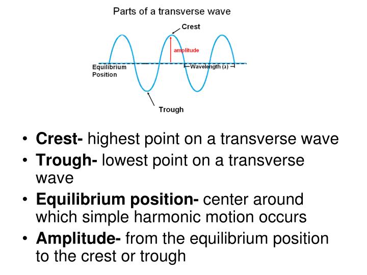 PPT - Waves and Sound PowerPoint Presentation - ID:6313258
