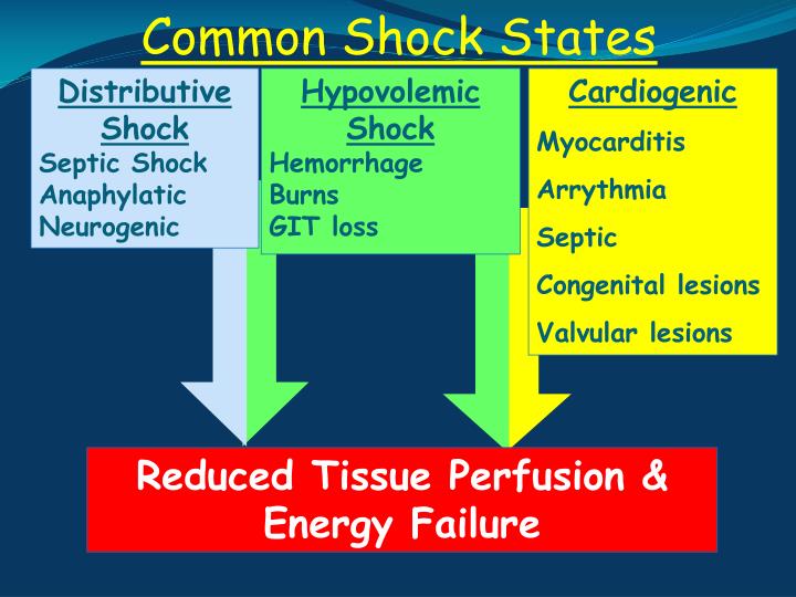 PPT - Shock States Beyra Rossouw Intensive Care Unit Red Cross War ...