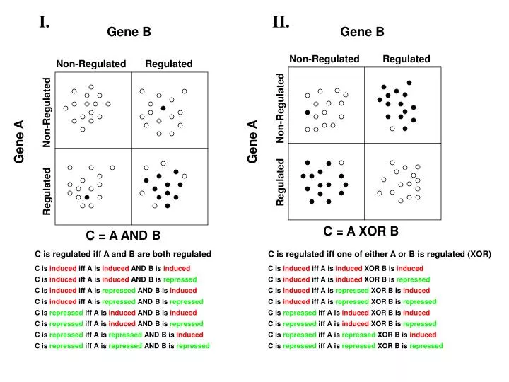 PPT - Gene B PowerPoint Presentation, free download - ID:6317426